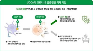 간기능 개선제 UDCA, 코로나 중증 33% 낮춰